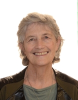 Notice of Poll - Galway West